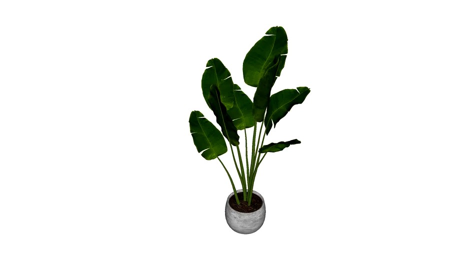Bop Plant 3d model