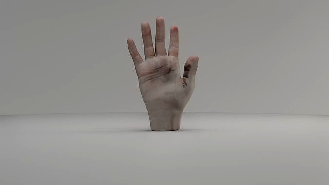 3D Hand Animated Rigged model