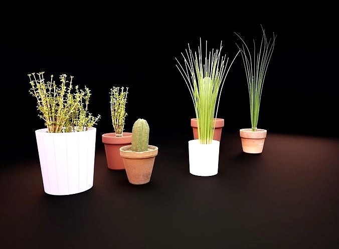 photo realistic 3d plants model