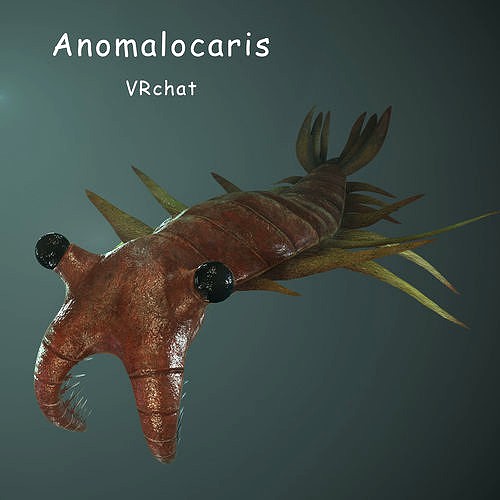 Anomalocaris 3d model