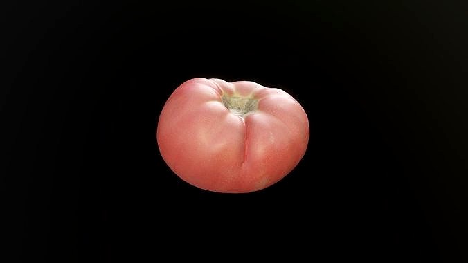 3D Scan Tomato model
