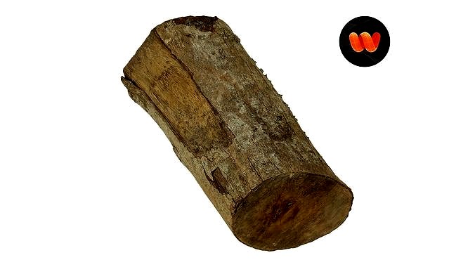 Wood Log Raw Scanned 3d Model