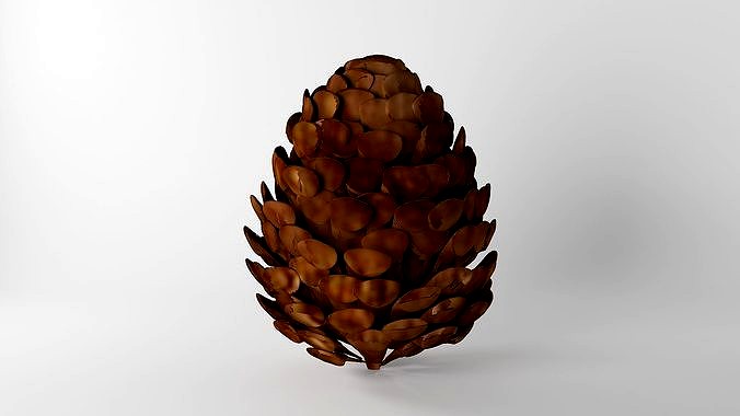 Pine cone 3d model