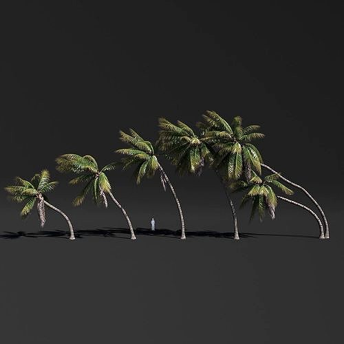 COCONUT TREE VOLUME PACK 02 - GFX INCLUDED 3d model