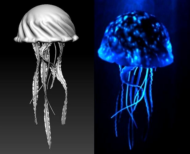Jellyfish Deep Ocean Creature Base Mesh 3d model