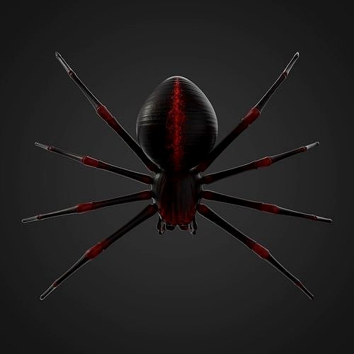 Spider with 8K PBR Textures 3d model