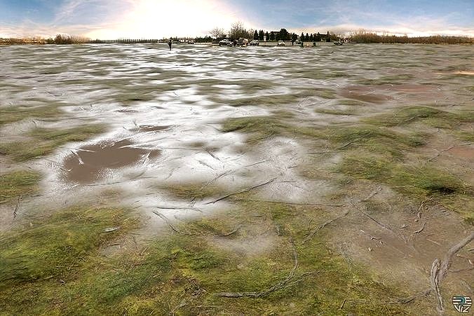 PBR Texture Grass Mud Puddles 3d model