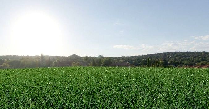 Grass 3d Model
