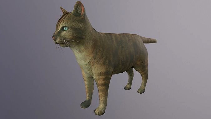 Cat Model 3d