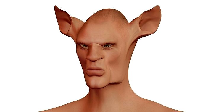 Character Fantasy High-poly male 01 3d model