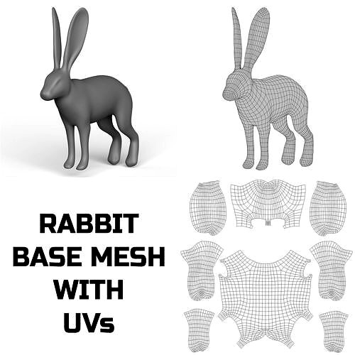 Rabbit Base Mesh 3d model