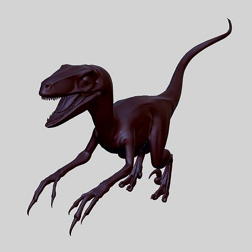 Raptor 3D Model