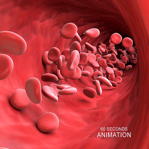 Blood Cells flowing Animation 3d model