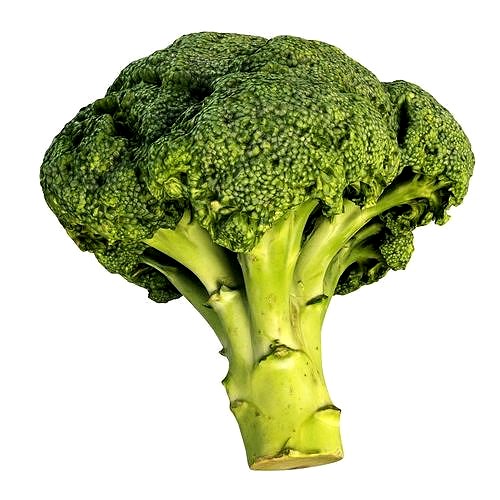 4k scanned broccoli 3d model