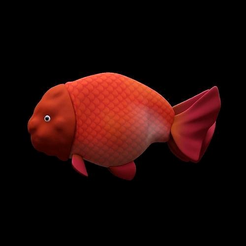Ranchu Goldfish 3d model