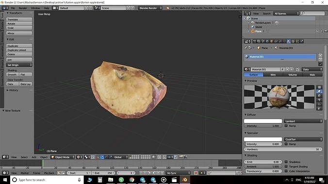 Rotten apple 3d model