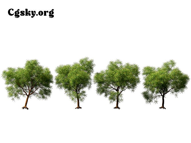 Azadirachta indica - neem 02 3d model