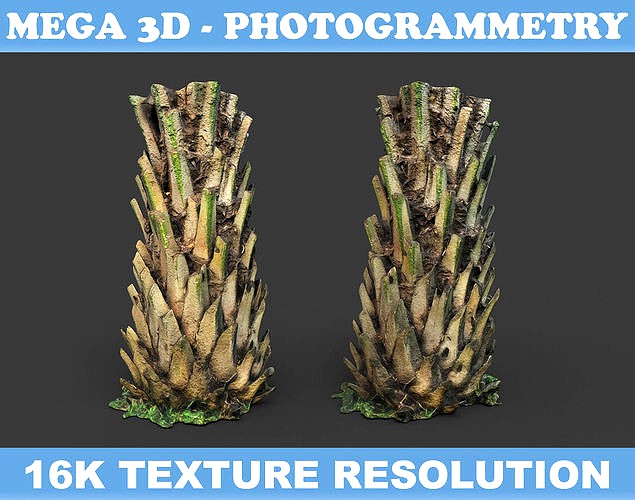 Low poly Oil Palm Trunk 01 - Photogrammetry 3d model