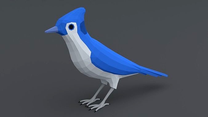 Low Poly Cartoon Blue Jay 3d model