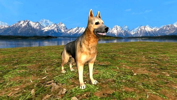 German Shepherd Dog Animated Rigged 3d model