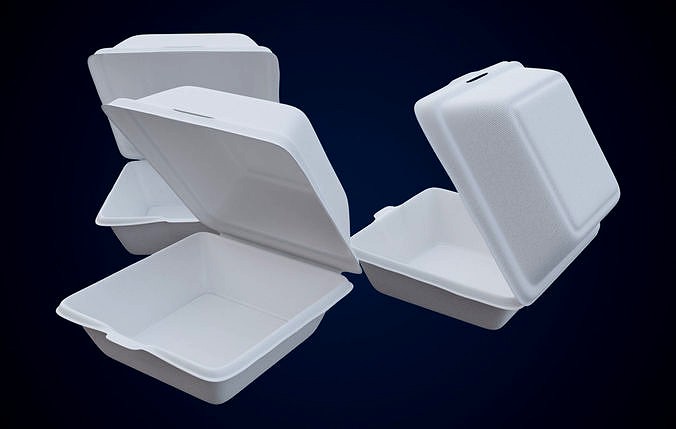 Disposable - Food Styrofoam Container 3d model