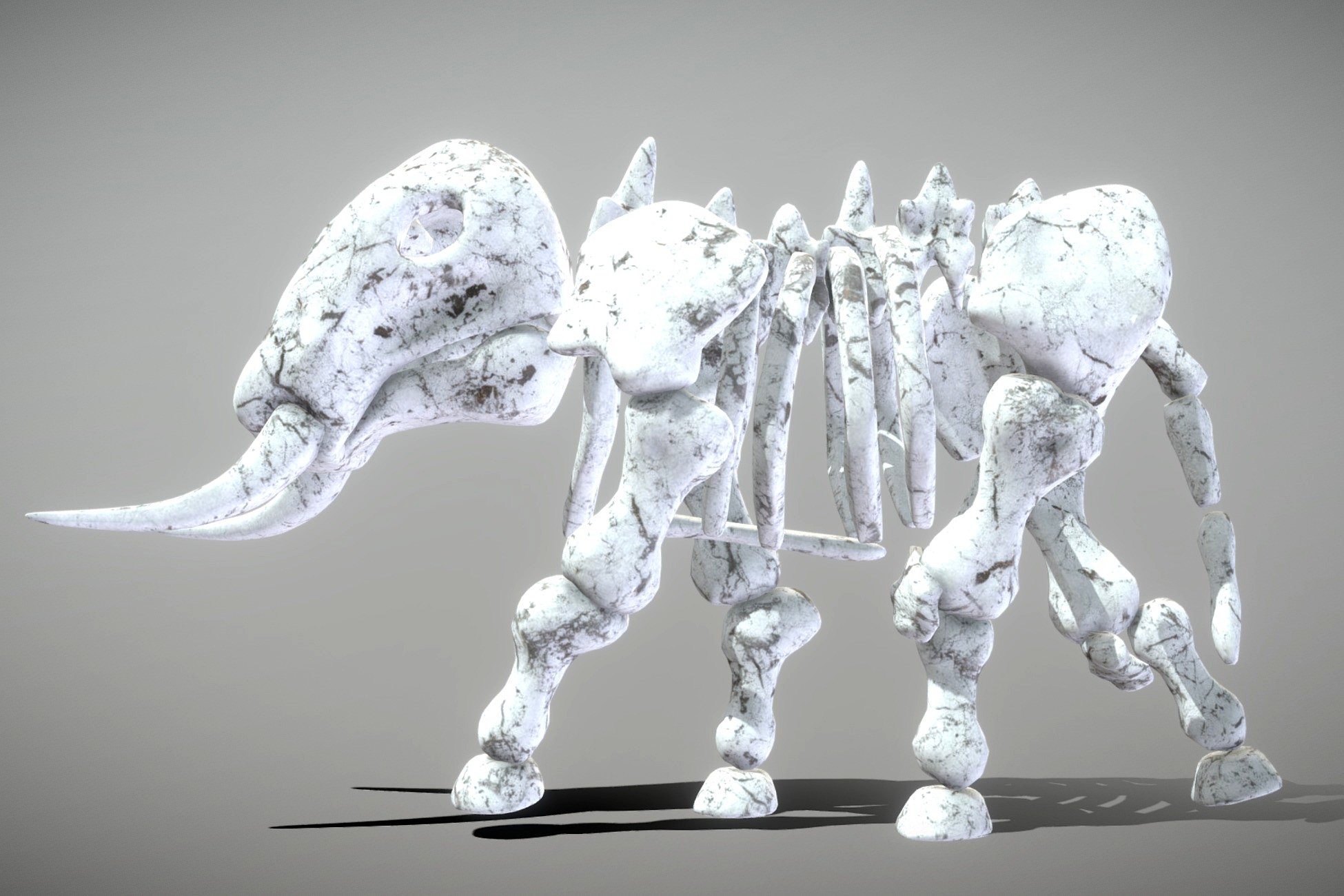 Elephant Skeleton 3d model