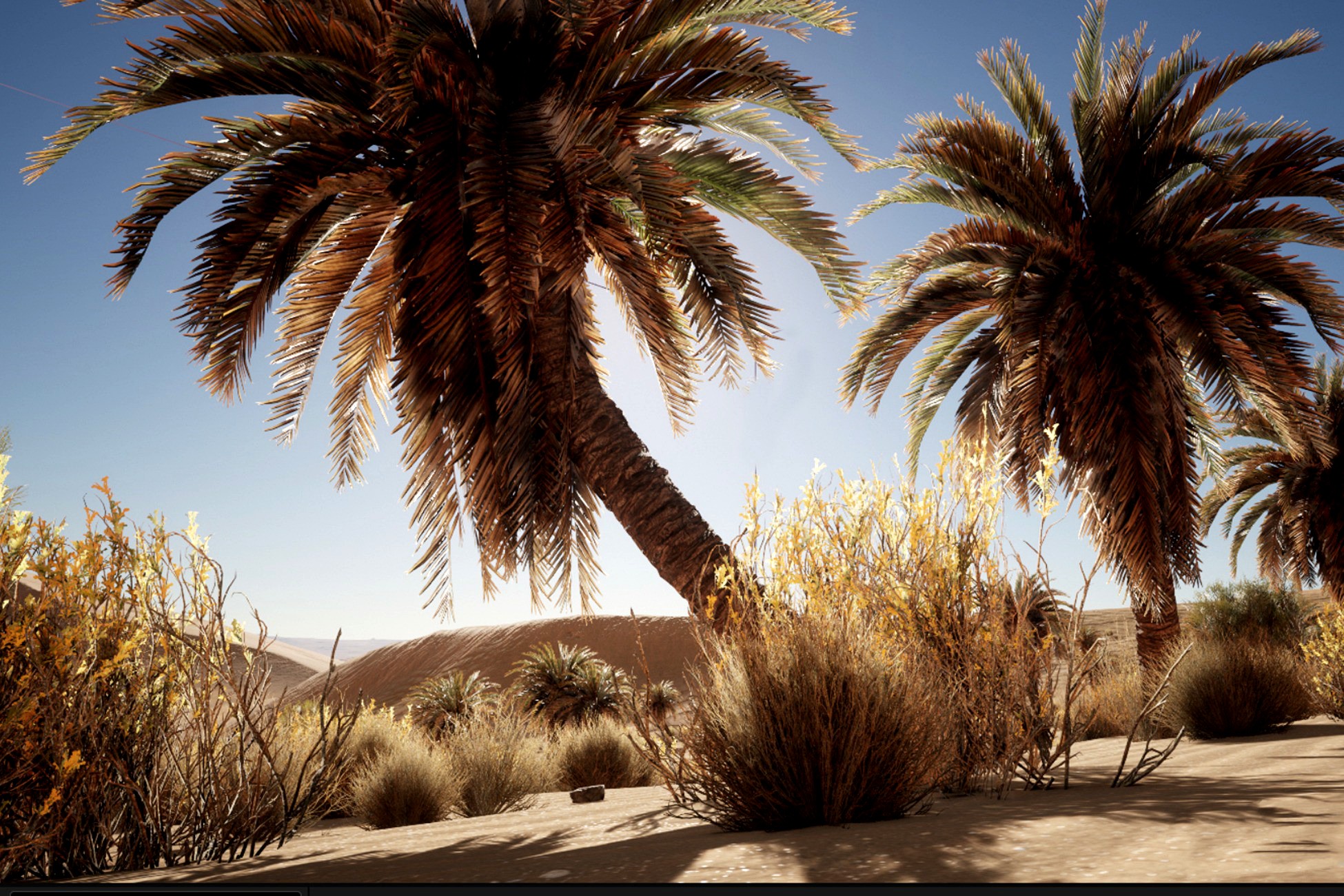 Desert Vegetation biome 3d model