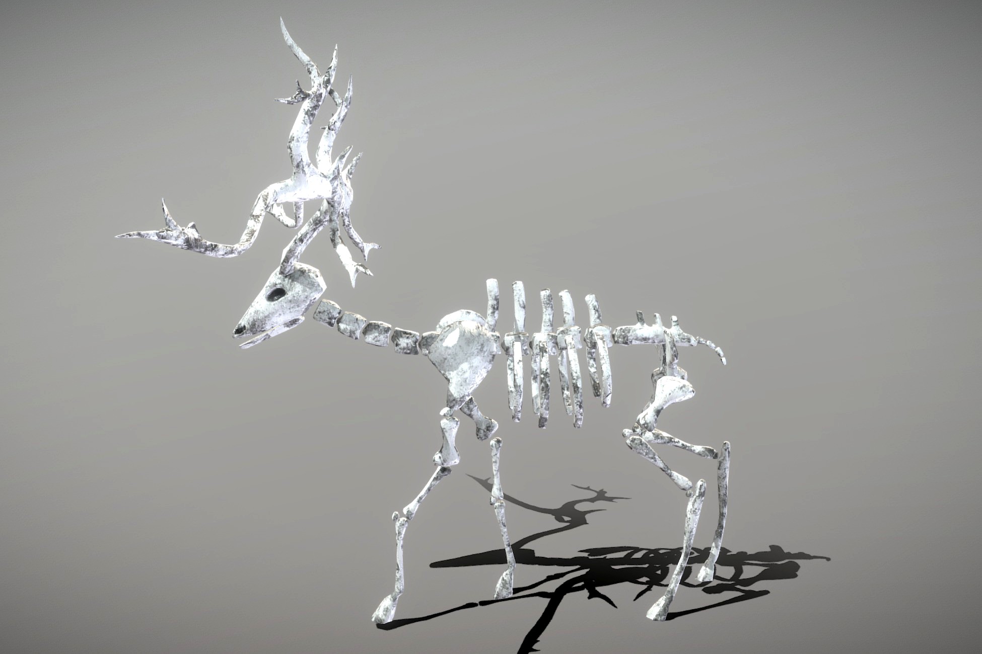 Elk Skeleton 3d model