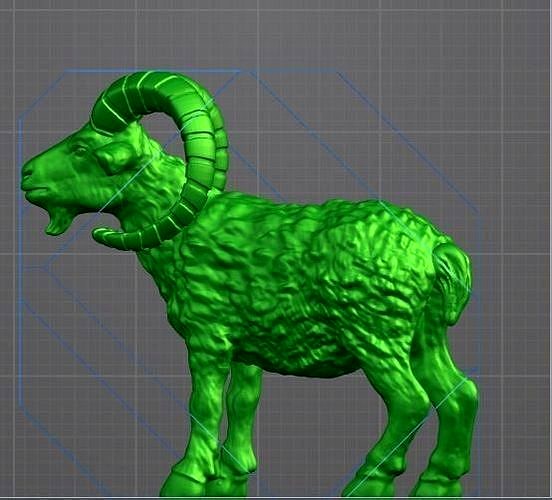 Ram in full 3D | 3D model