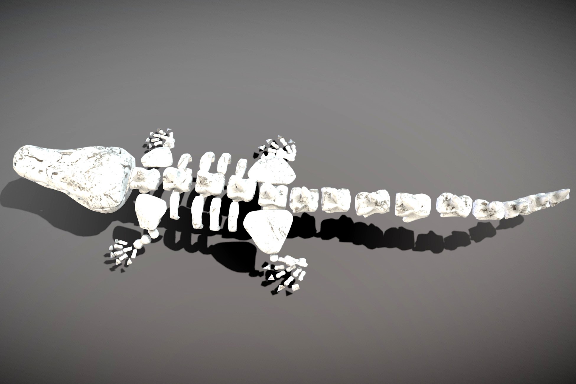 Crocodile Skeleton 3d model