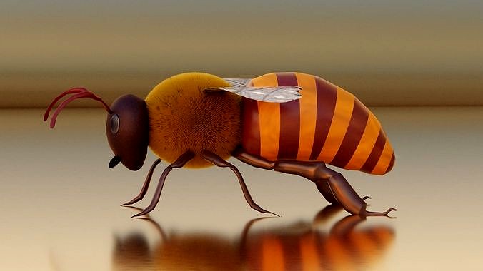 Realistic Honey Bee Rigged for Animation 3d model