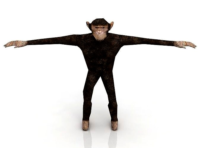 Chimp 3D model