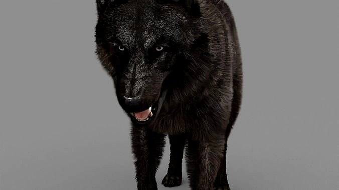 WOLF rigged character 3d model