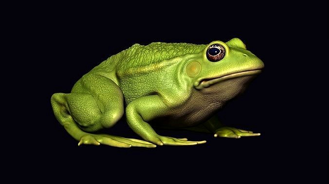 Frog model 3d