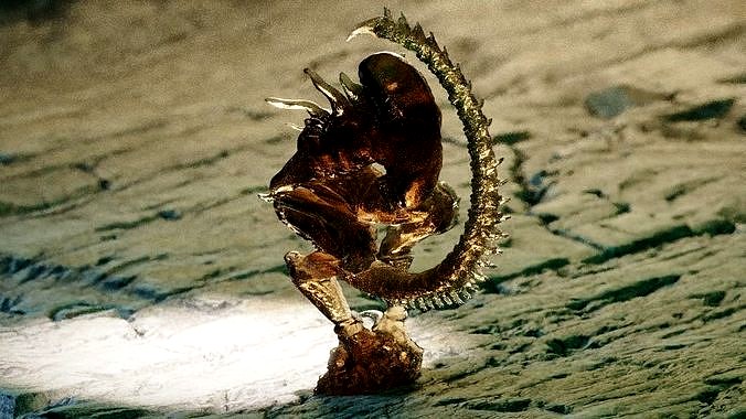 Alien Birth 3d model