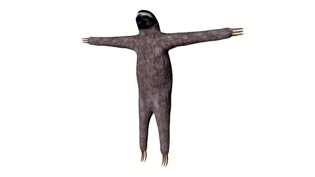 sloth 3d model