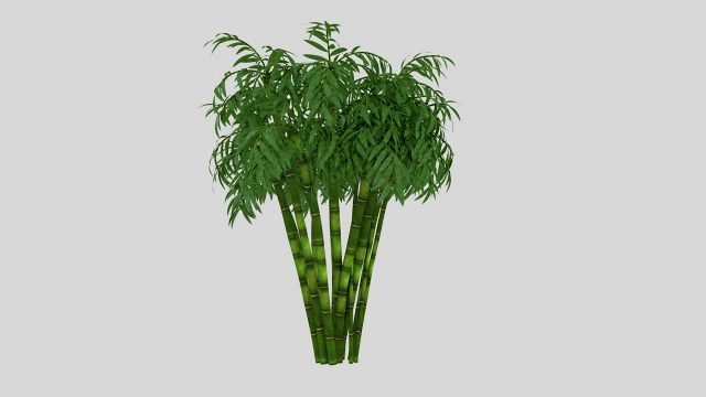 bamboo low-poly 3d model