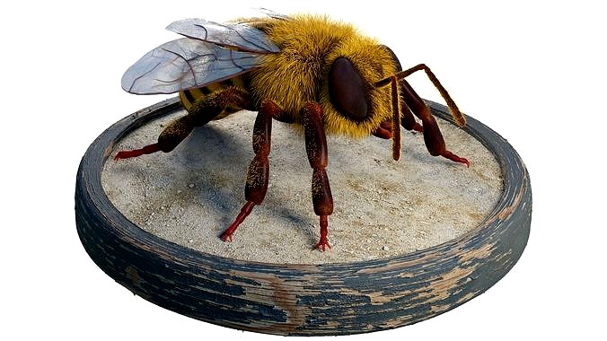 Bee - Blender 3d model