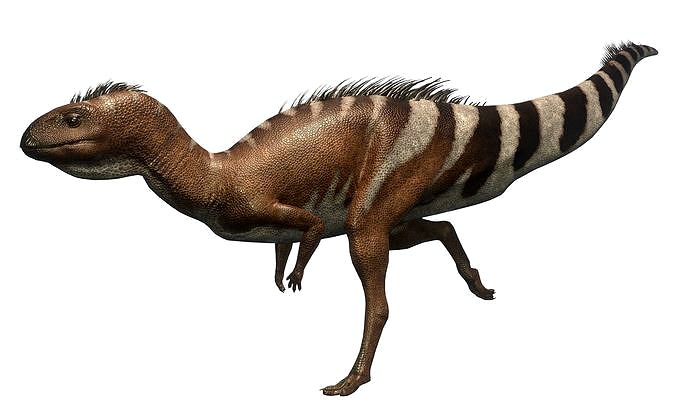 Dryosaurus Asset Pack 3d model