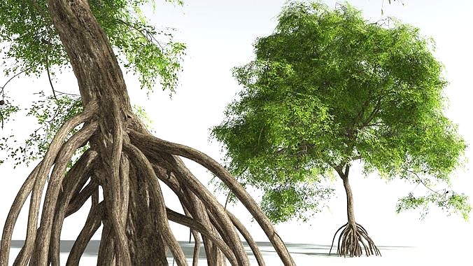 EVERYPlant Red Mangrove 11 --15 Models-- 3d