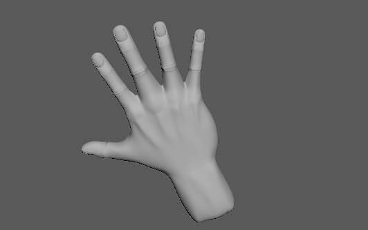 HAND 3D MODEL