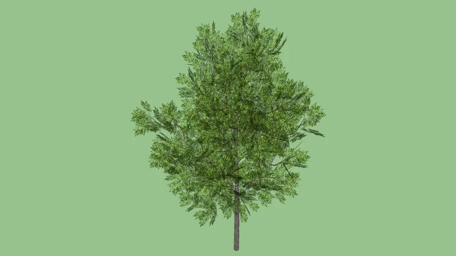 POHON-- 3d model