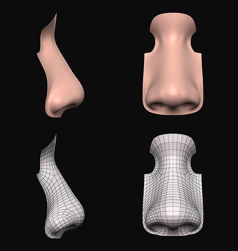 Noses 3d model