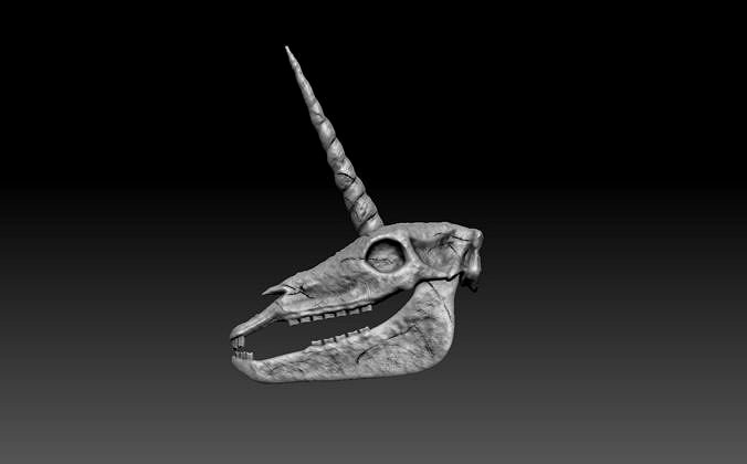 Unicorn Skull | 3D model