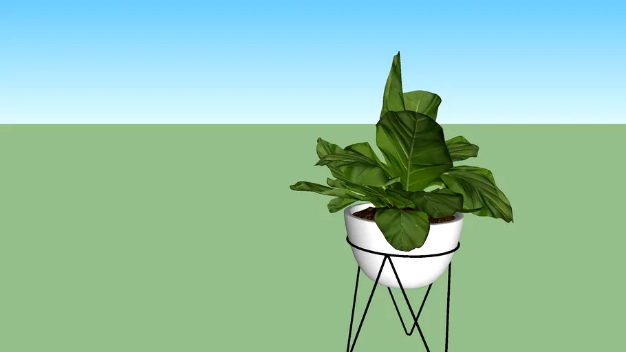 PLANTA CON PLANTERA BLANCA 3d model