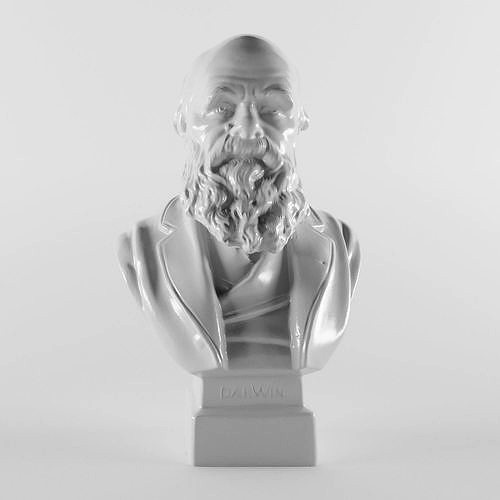 Charles Robert Darwin | 3D model