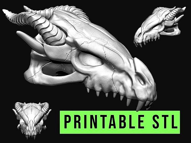 Dragon Skull Printable | 3D model