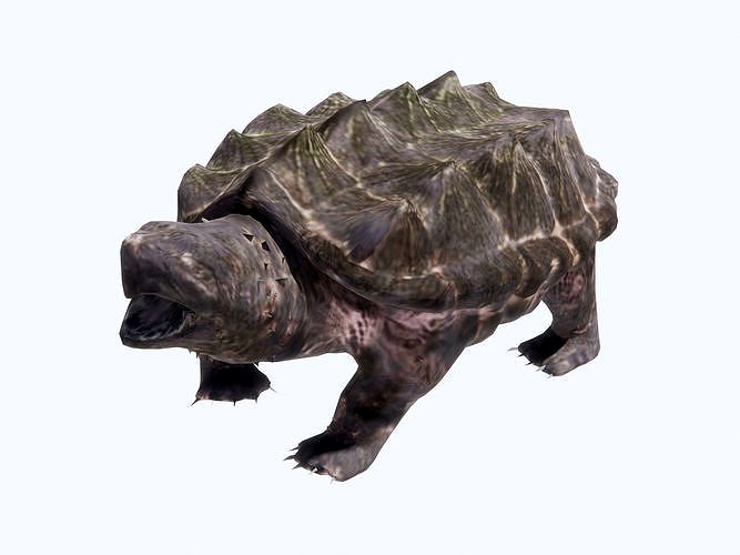 Alligator Snapping Turtle Low-poly 3d model