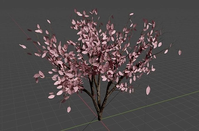 Cherry blossom tree 3d model