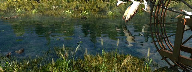wetlands 3d model